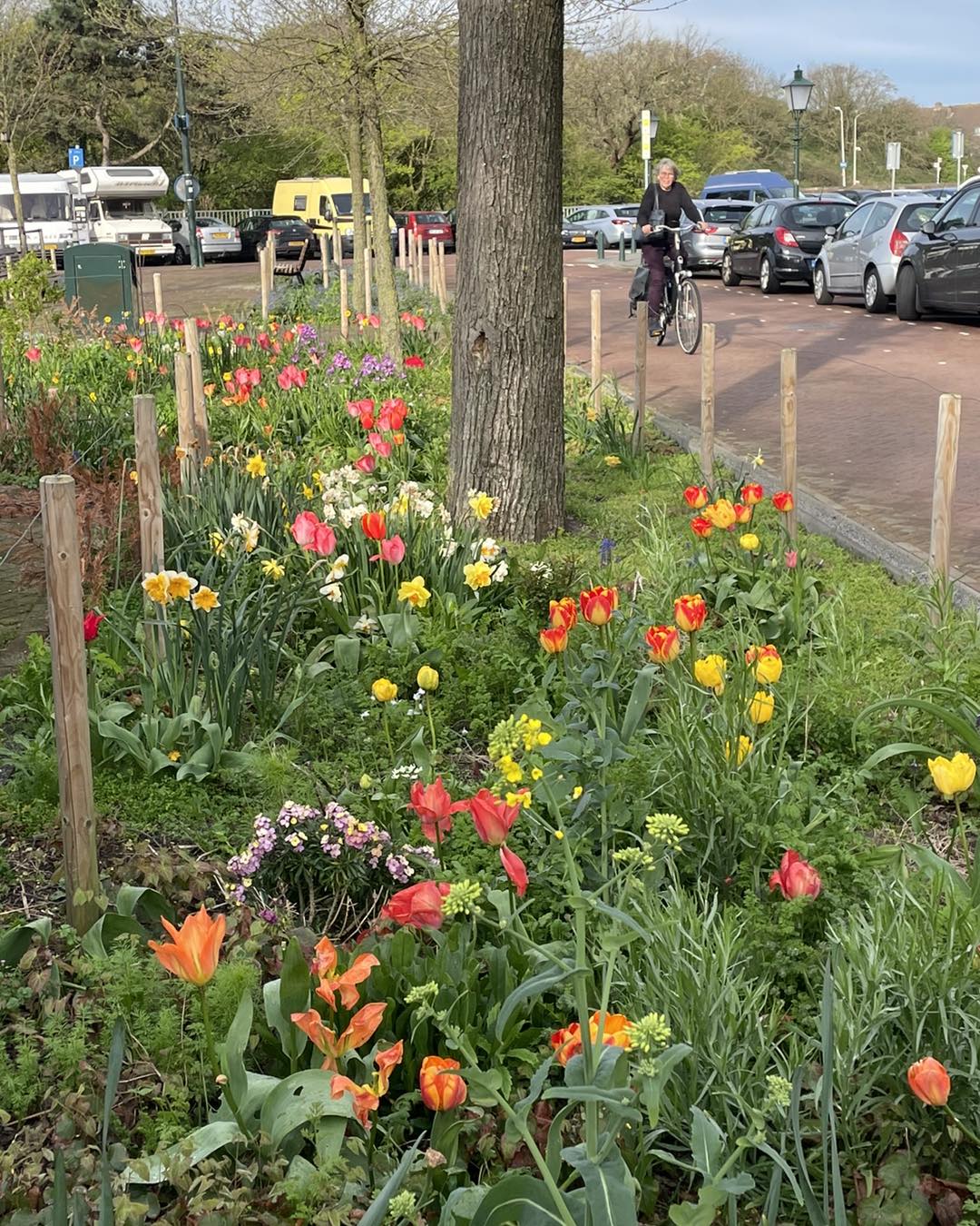 Willem de Zwijgerlaan - Statenkwartier